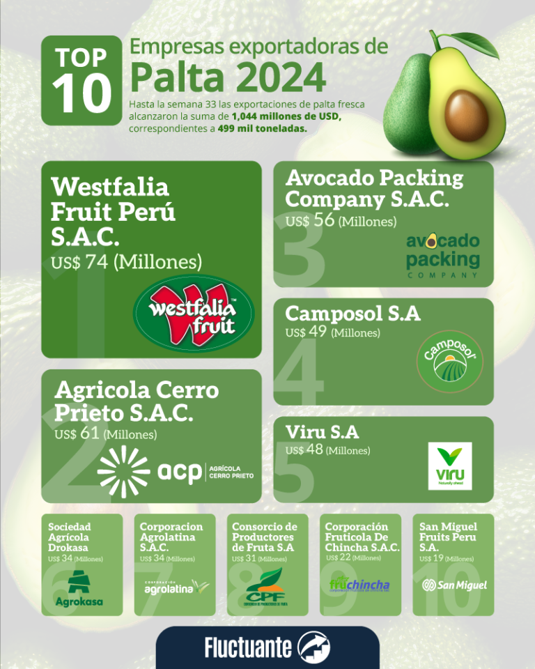 Top 10 Empresas exportadoras de Palta 2024 | Fluctuante